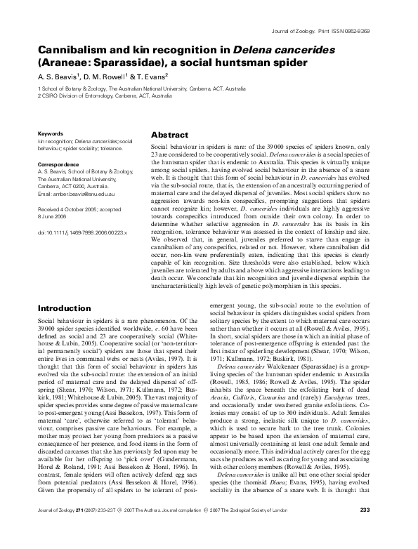 (PDF) Cannibalism and Kin Recognition in Delena cancerides (Araneae ...