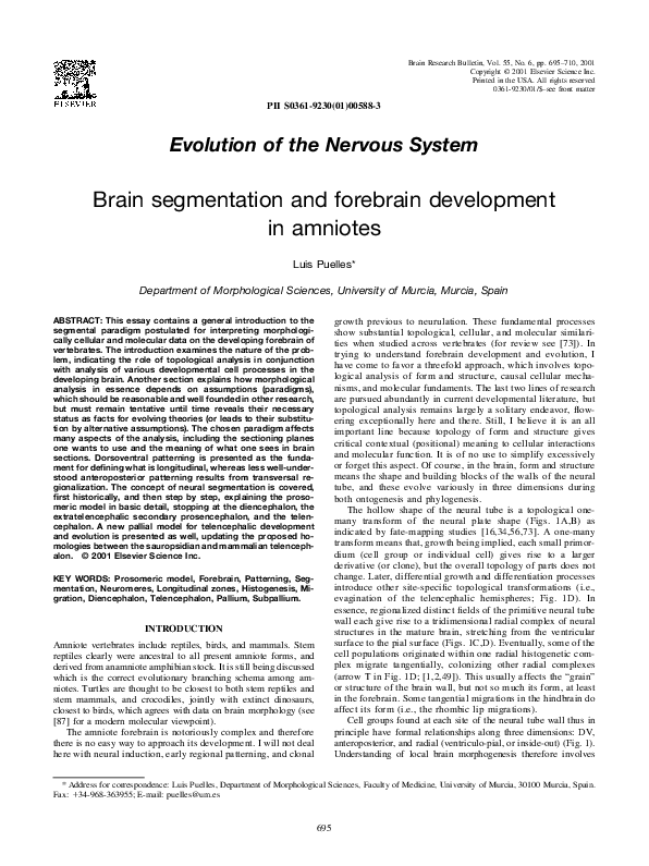 (PDF) Evolution of the Nervous System Brain segmentation and forebrain ...