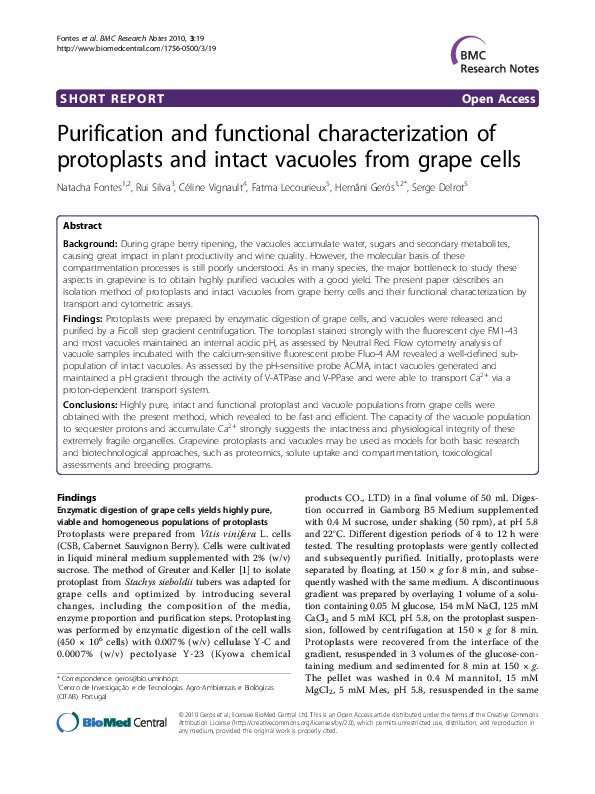 (PDF) Purification and functional characterization of protoplasts and ...