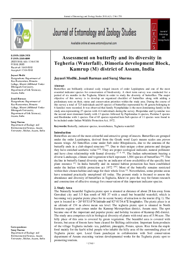 (PDF) Assessment on butterfly and its diversity in Tegheria (Waterfall ...