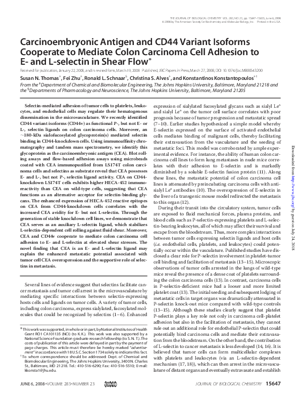 Pdf Carcinoembryonic Antigen And Cd44 Variant Isoforms Cooperate To