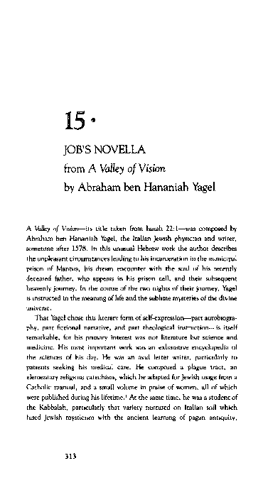 (PDF) David B. Ruderman, “Job’s Novella from A Valley of Vision by ...