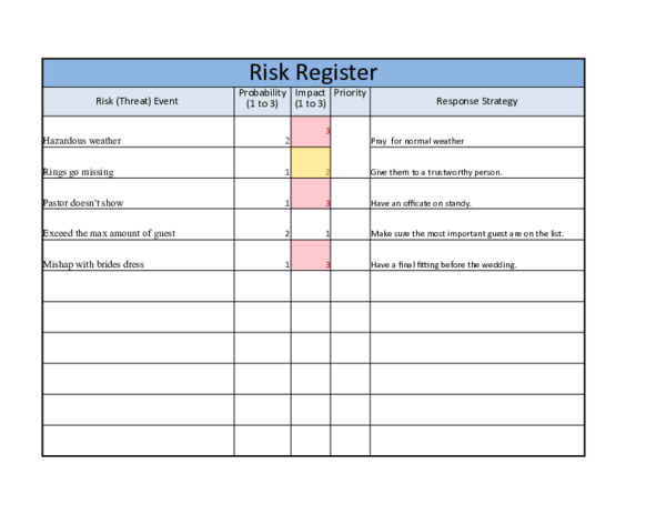 (XLS) Risk Register