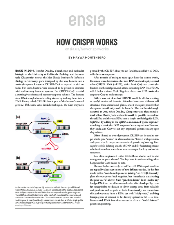 (PDF) How CRISPR Works