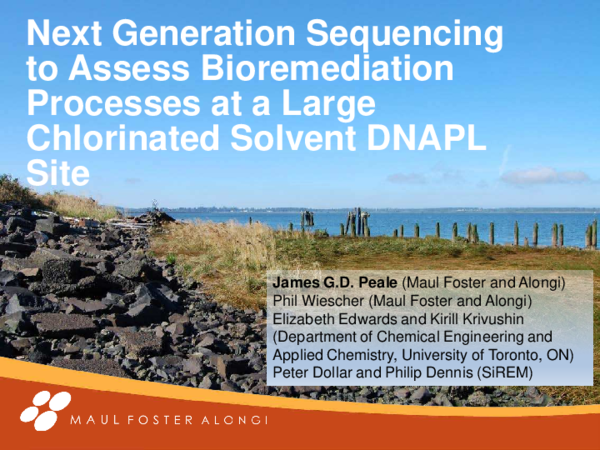 (PDF) Next Generation Sequencing to Assess Bioremediation Processes at ...