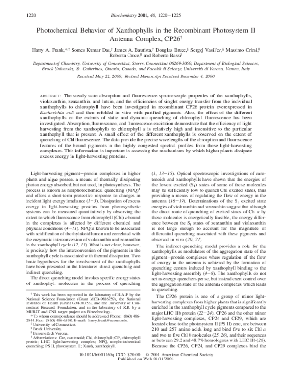 (PDF) Photochemical Behavior of Xanthophylls in the Recombinant Photosystem II Antenna Complex ...