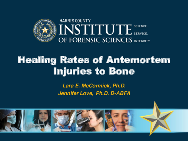 (PDF) Healing Rates of Antemortem Injuries to Bone