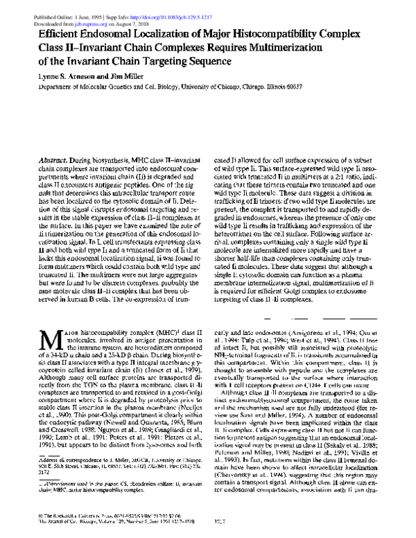 Efficient endosomal localization of major histocompatibility complex ...