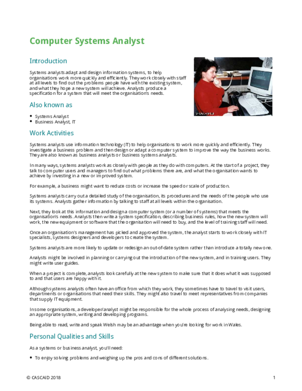 (PDF) Computer Systems Analyst