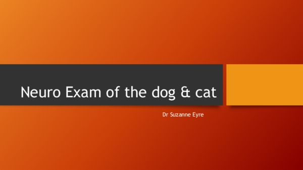 (PPT) Neuro Exam of the dog & cat