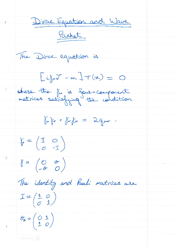 (PDF) Dirac Equation and the Wave Packet