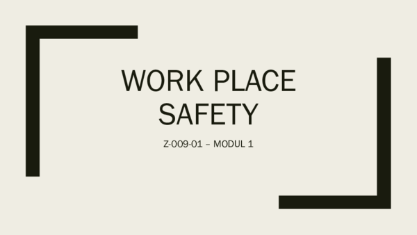 (PDF) Z-009-1 CORE ABILITIES LEVEL 1 ppt