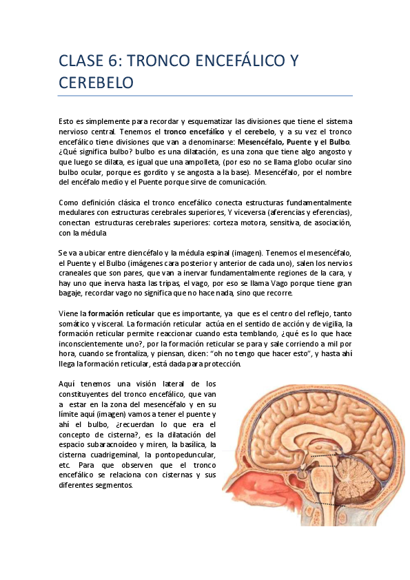 (PDF) CLASE 6: TRONCO ENCEFÁLICO Y CEREBELO