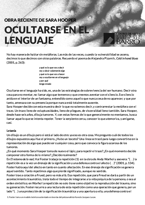 (PDF) OCULTARSE EN EL LENGUAJE - Obra reciente de Sara Hooper