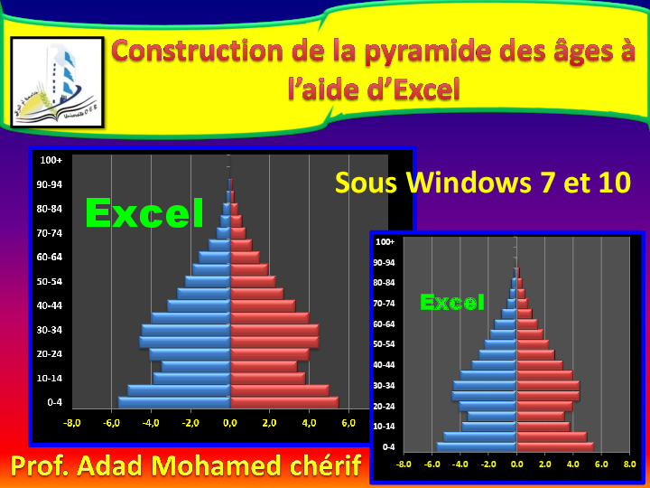 (PPT) Construction de la pyramide des âges à l’aide de l'Excel sous ...