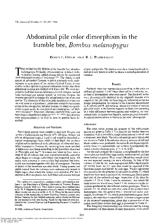 (PDF) Abdominal pile color dimorphism in the bumble bee, Bombus melanopygus