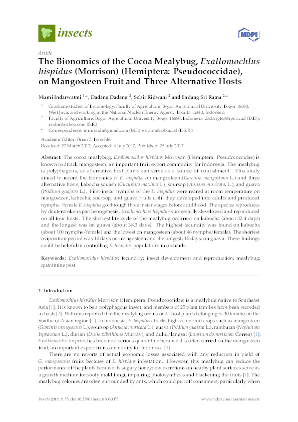 (PDF) The Bionomics of the Cocoa Mealybug, Exallomochlus hispidus ...