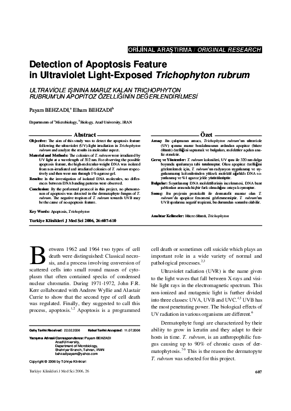 (PDF) Detection of Apoptosis Feature in Ultraviolet Light-Exposed ...
