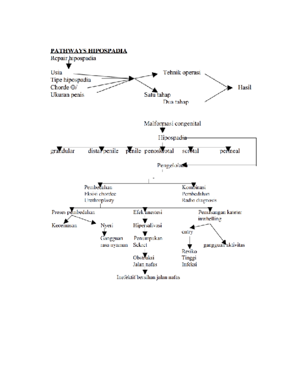 (DOC) pathway hipospadia.doc | yosef krisnadi - Academia.edu