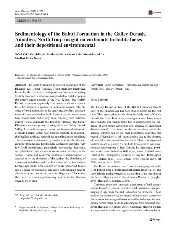 (PDF) Sedimentology of the Baluti Formation in the Galley Derash ...