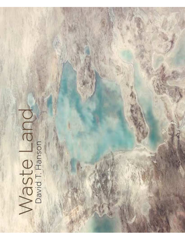 (PDF) Thawing Entropy: The Work of David T. Hanson