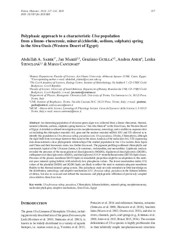 (PDF) Polyphasic approach to a characteristic Ulva population from a ...