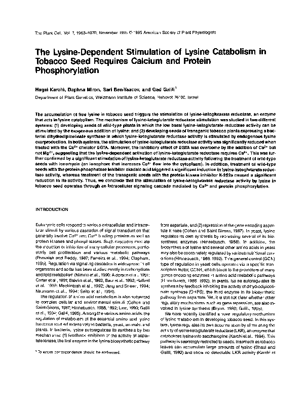 (PDF) The Lysine-Dependent Stimulation of Lysine Catabolism in Tobacco ...