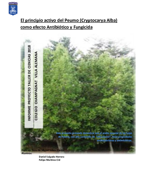 (DOC) El principio activo del Peumo (Cryptocarya Alba) como efecto ...
