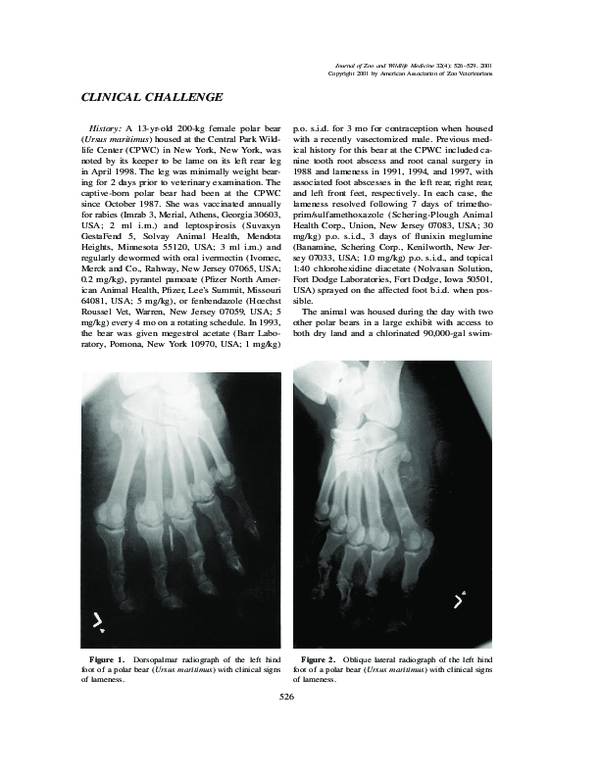 (PDF) Clinical challenge. Bone-density foreign body in the interdigital ...