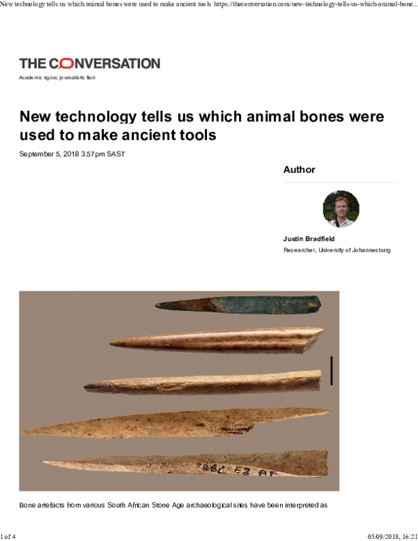 (PDF) New technology tells us which animal bones were used to make ...