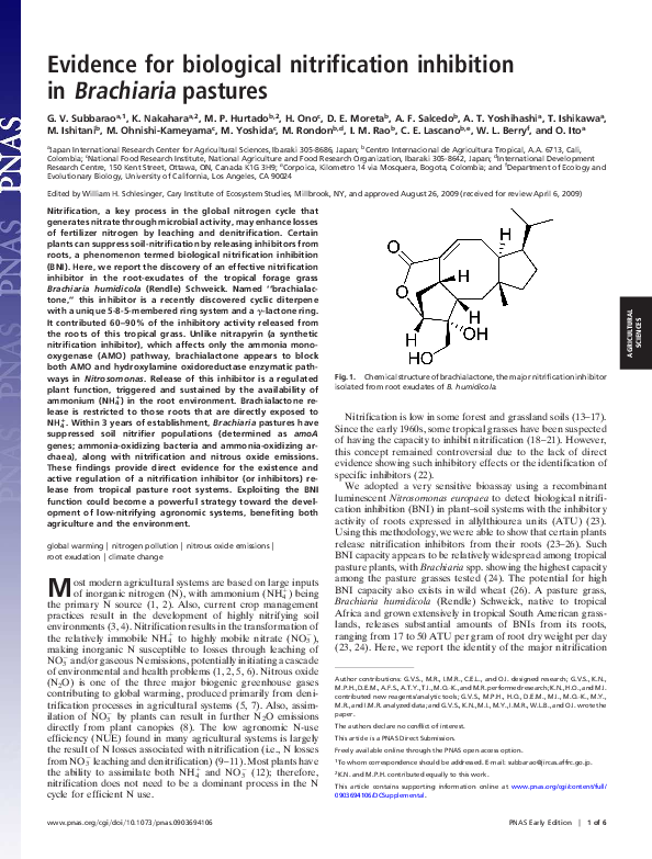 (PDF) Evidence for biological nitrification inhibition in Brachiaria ...