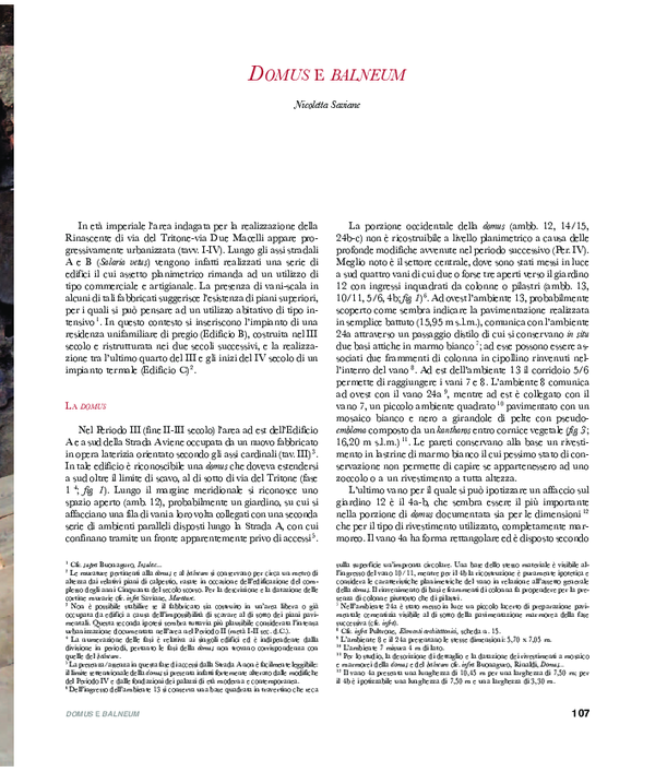 (PDF) N. Saviane,Domus e balneum,in M. Baumgartner (a cura) Roma ...