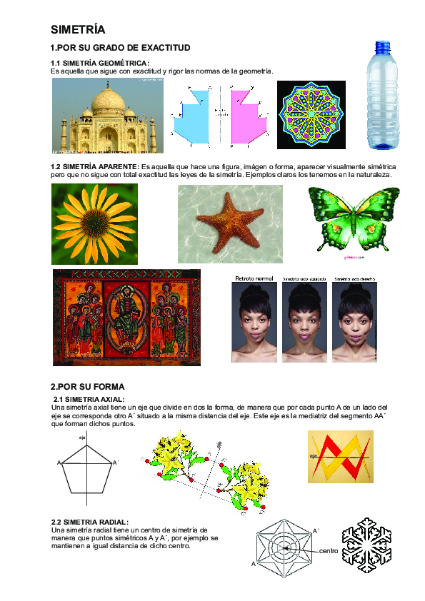 Ejemplos De Simetría En La Naturaleza Simetría Wikipedia, La