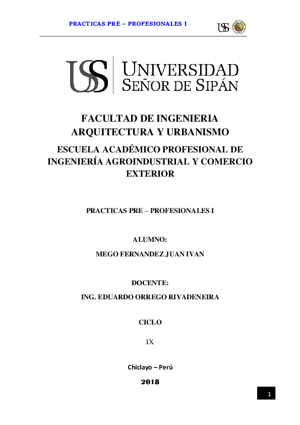 (PDF) PRACTICAS PRE – PROFESIONALES I FACULTAD DE INGENIERIA ARQUITECTURA Y URBANISMO ESCUELA ...