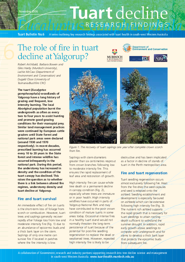 (PDF) The role of fire in tuart decline at Yalgorup?