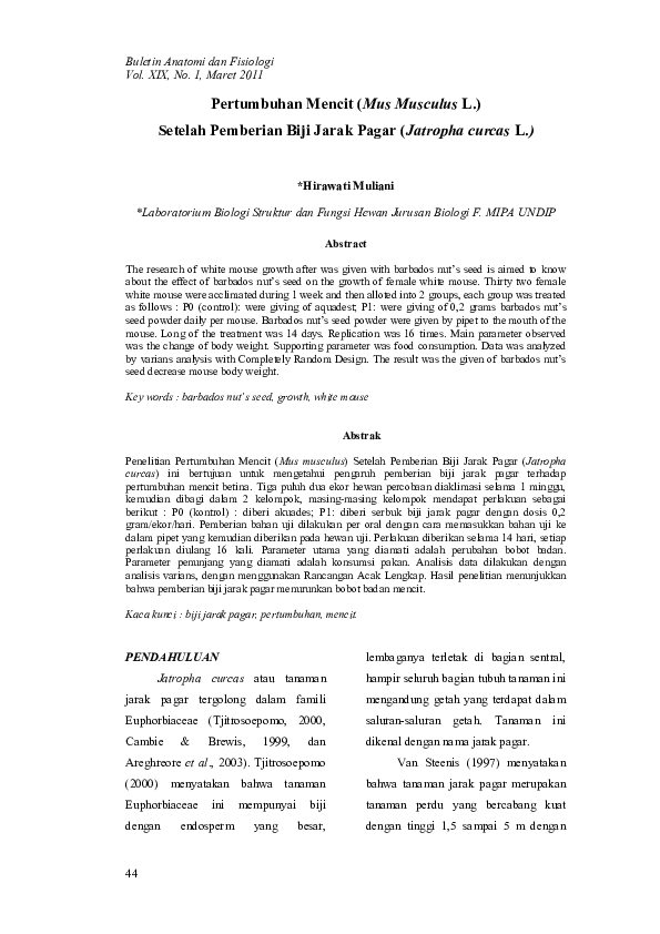 (PDF) Pertumbuhan Mencit (Mus Musculus L
