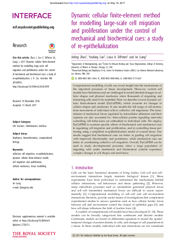 Pdf Dynamic Cellular Finite Element Method For Modelling Large Scale Cell Migration And