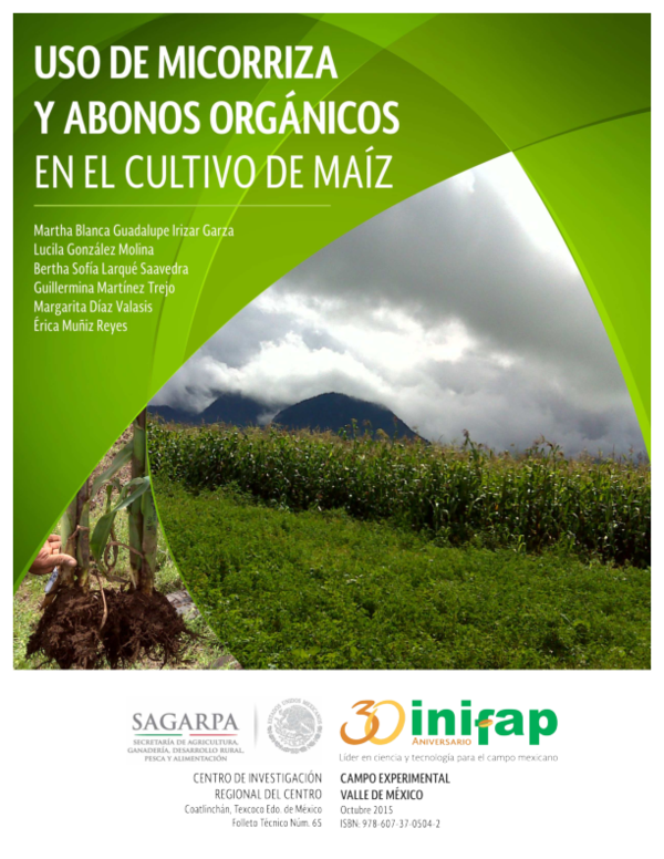 (PDF) Uso de micorriza y abonos orgánicos en el cultivo de maíz (2)