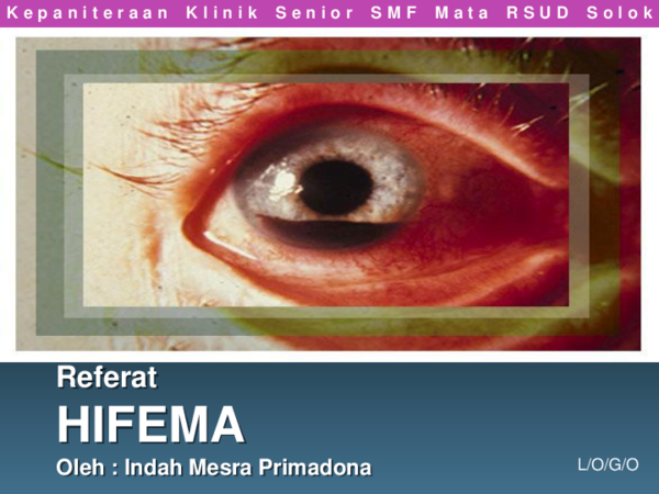 (PPT) Hifema