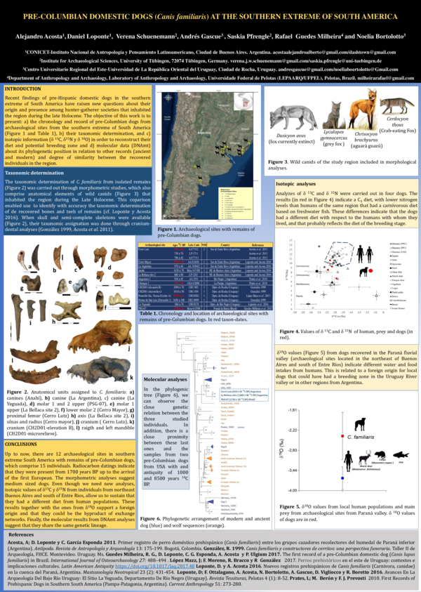 (PDF) PRE-COLUMBIAN DOMESTIC DOGS (Canis familiaris) AT THE SOUTHERN ...