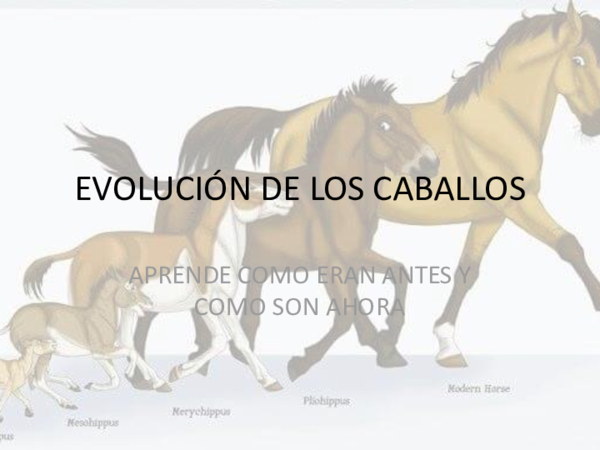 (PPT) EVOLUCION DE CABALLOS