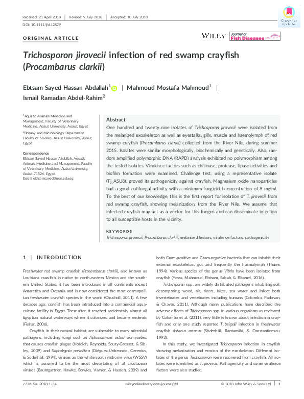 (PDF) Trichosporon jirovecii infection of red swamp crayfish ...