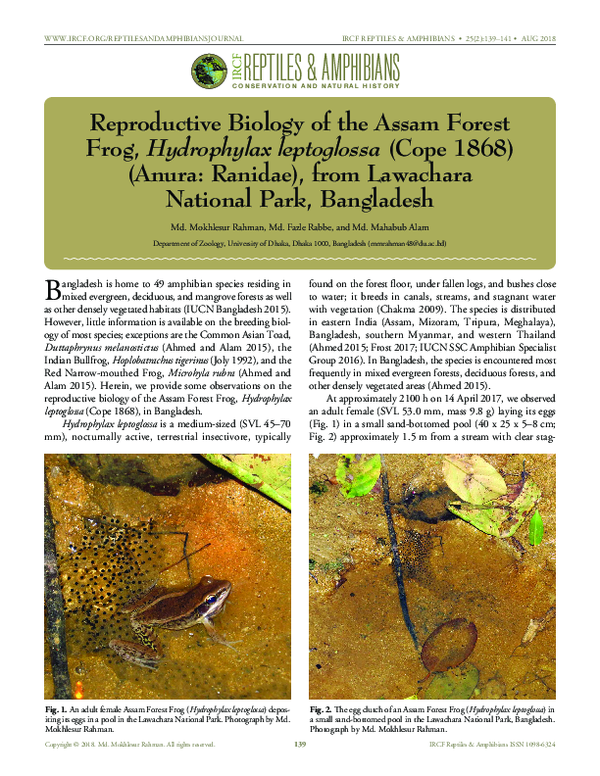 (PDF) Reproductive Biology of the Assam Forest Frog, Hydrophylax ...