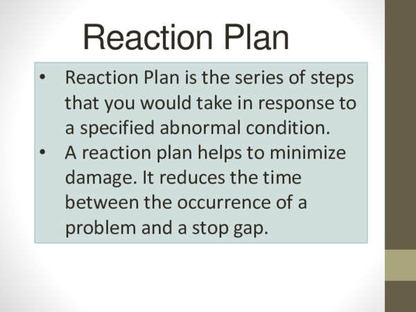 (PPT) Reaction Plan.pptx