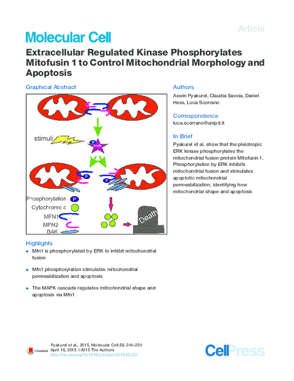 (PDF) Pyakurel et al Mol.Cell