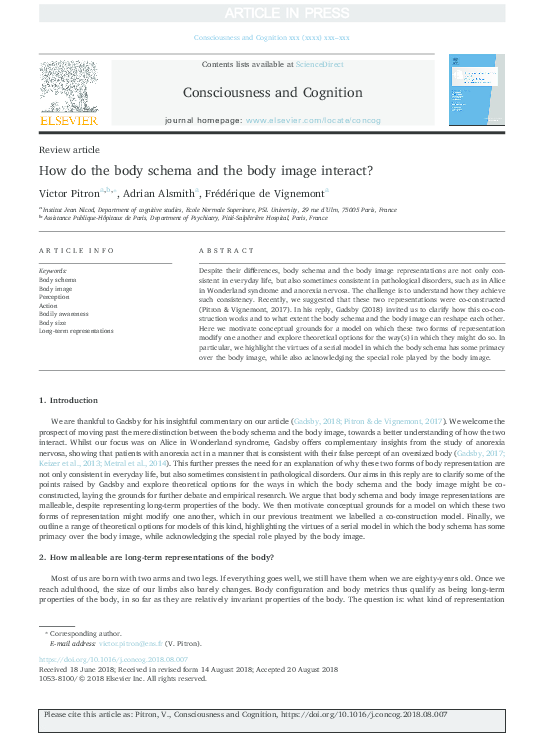 (PDF) How do the body schema and the body image interact?