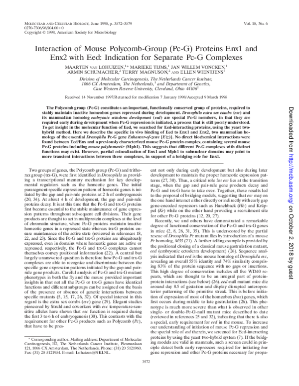 (PDF) Interaction of mouse polycomb-group (Pc-G) proteins Enx1 and Enx2 ...