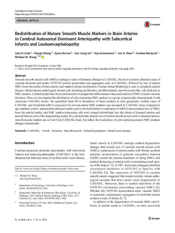 (PDF) Redistribution of Mature Smooth Muscle Markers in Brain Arteries ...