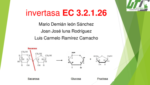 (PPT) Invertasa EC
