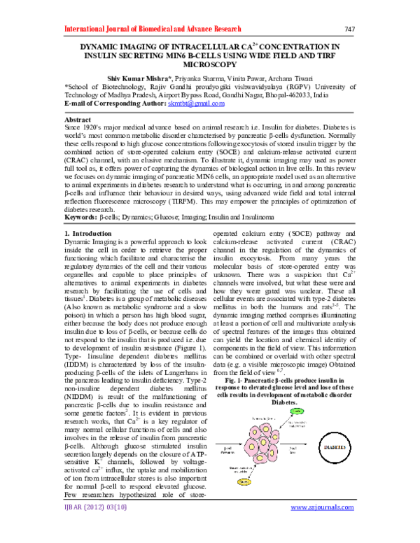 (PDF) DYNAMIC IMAGING OF INTRACELLULAR CA 2+ CONCENTRATION IN INSULIN ...